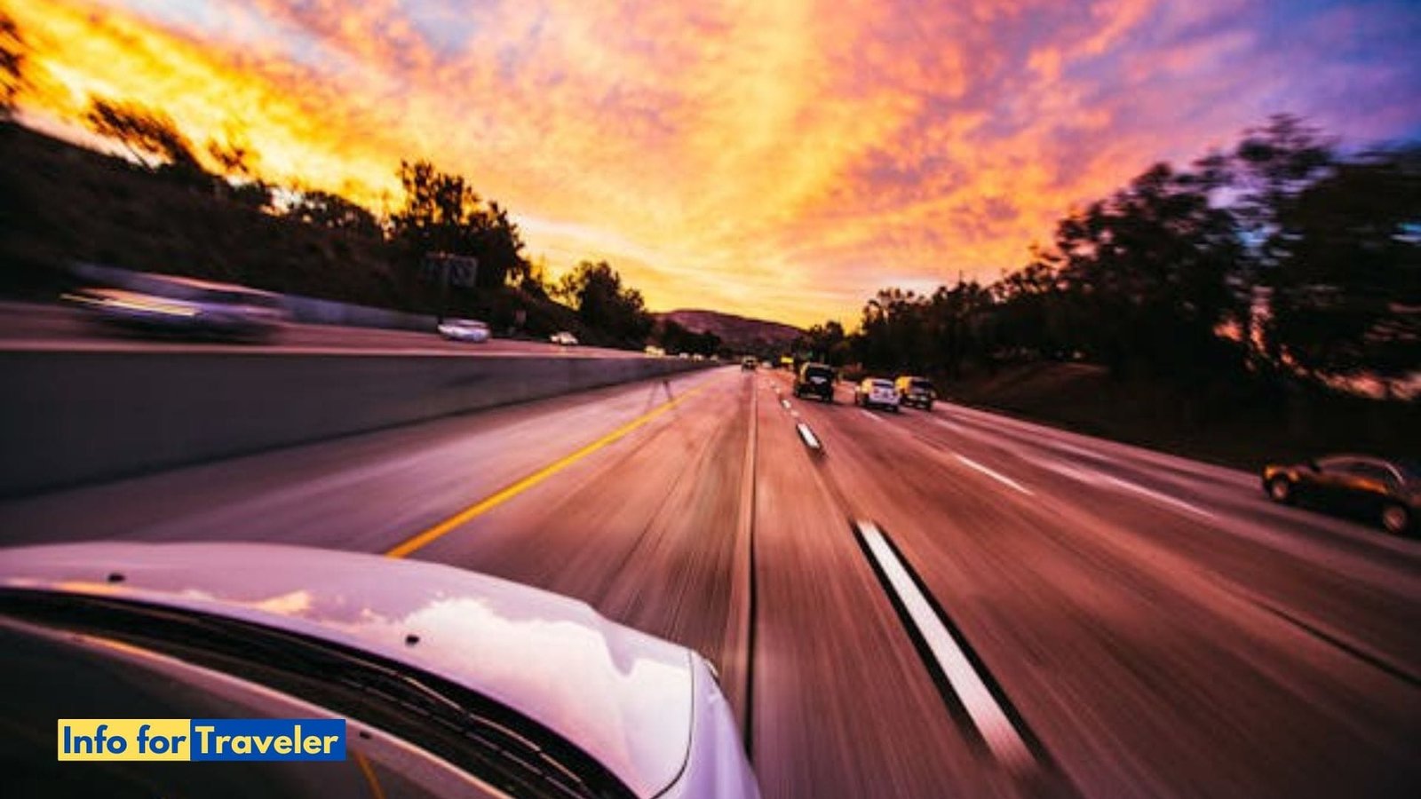 Tasty & Energizing Road Trip Gummies for Long Drives